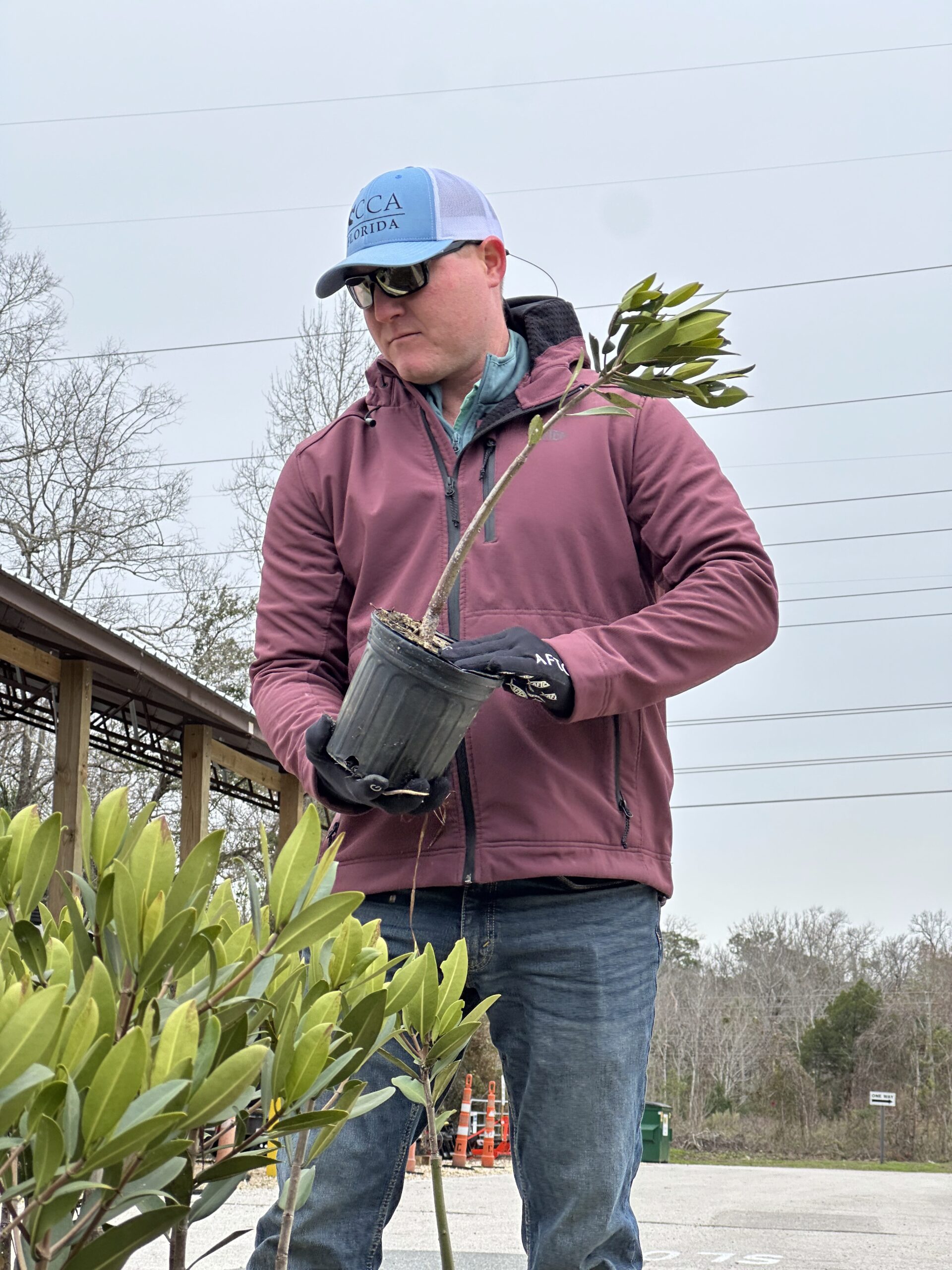 Collaborative Agreement to Conserve Florida’s Natural Resources - Tide ...